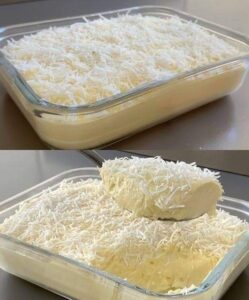 Easy Coconut and Condensed Milk Dessert in 15 Minute. – RECIPES